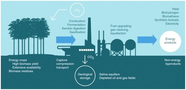Addressing carbon dioxide emissions by capture & trapping mechanisms