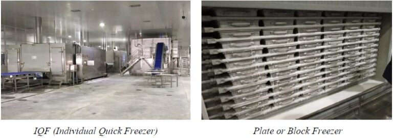 Basic Design Practices in Seafood Processing Plant and Cold Storage