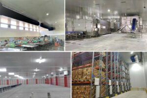 Basic Design Practices in Seafood Processing Plant and Cold Storage