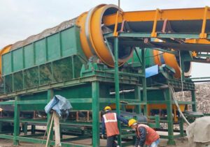 Different Types of Screening Plants