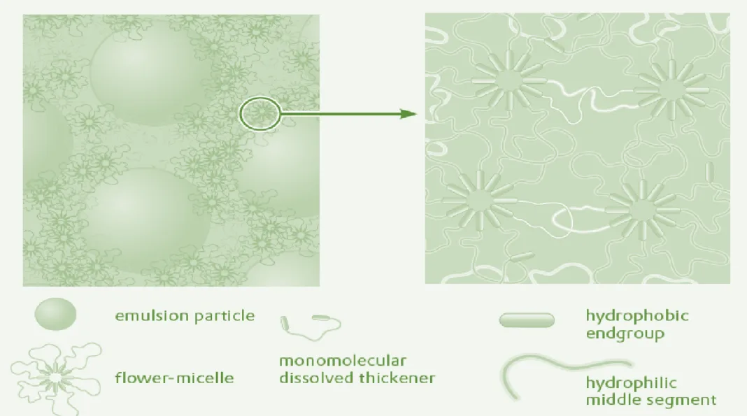 Rheology of Waterborne Paints