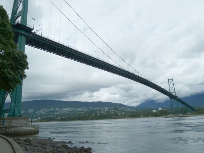 What are Orthotropic steel bridge decks?