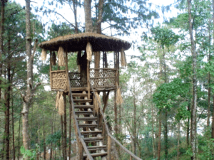 Bamboo as sustainable building material & its different construction ...