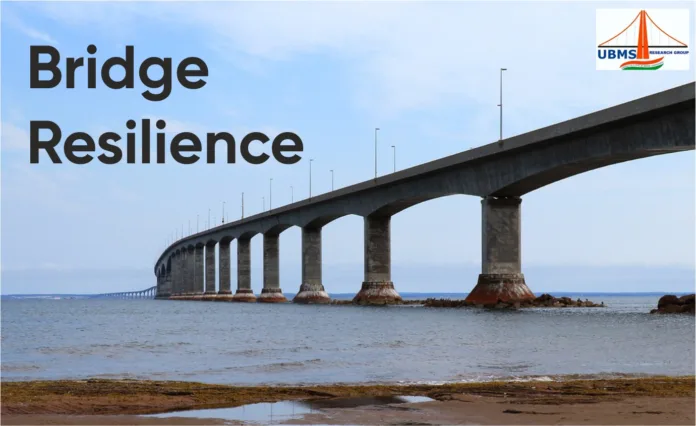 Strategizing for Bridge Resilience: Immediate and Extended Objectives