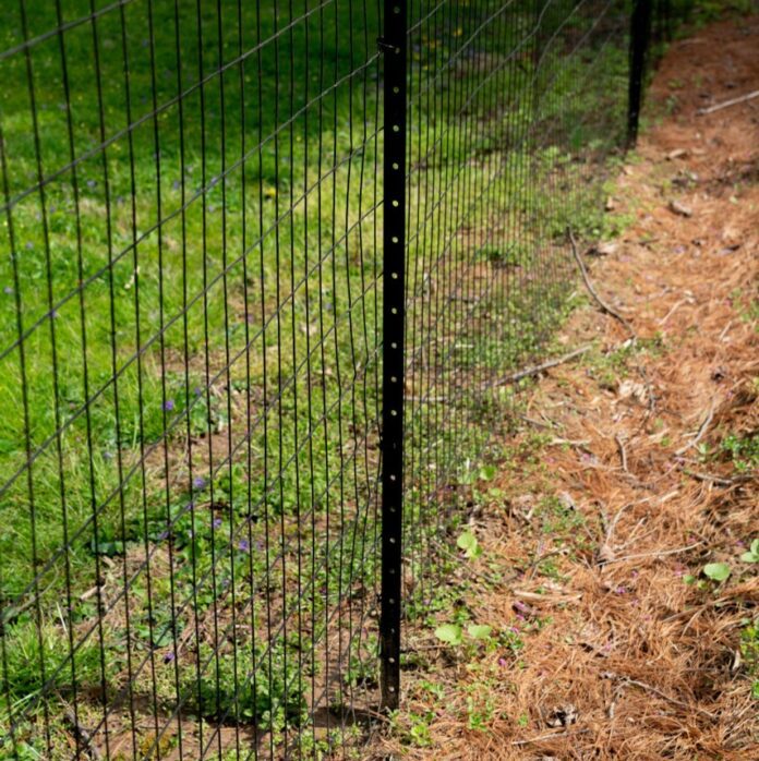 PVC-Coated Wire Mesh Types and Applications