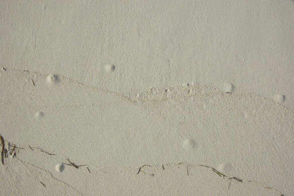 Concrete Curling: Why does it happen and how to prevent it?